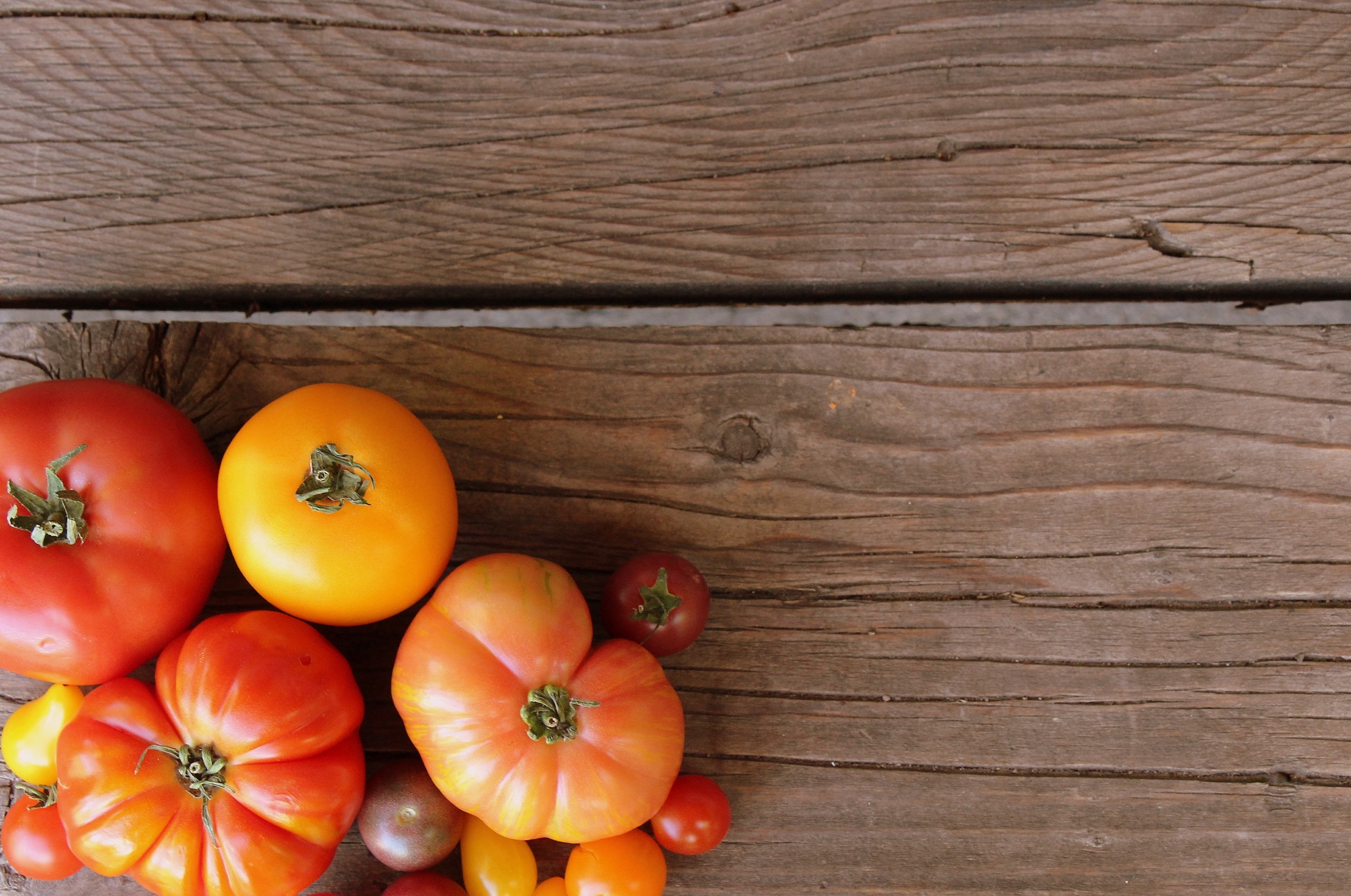 Wasatch Community Gardens | Salt Lake City, Utah - Home