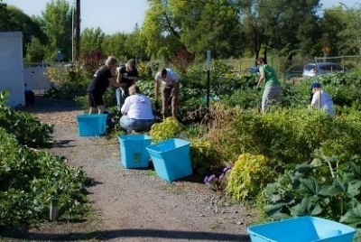 Wasatch Community Gardens | Salt Lake City, Utah - Find a Community Garden